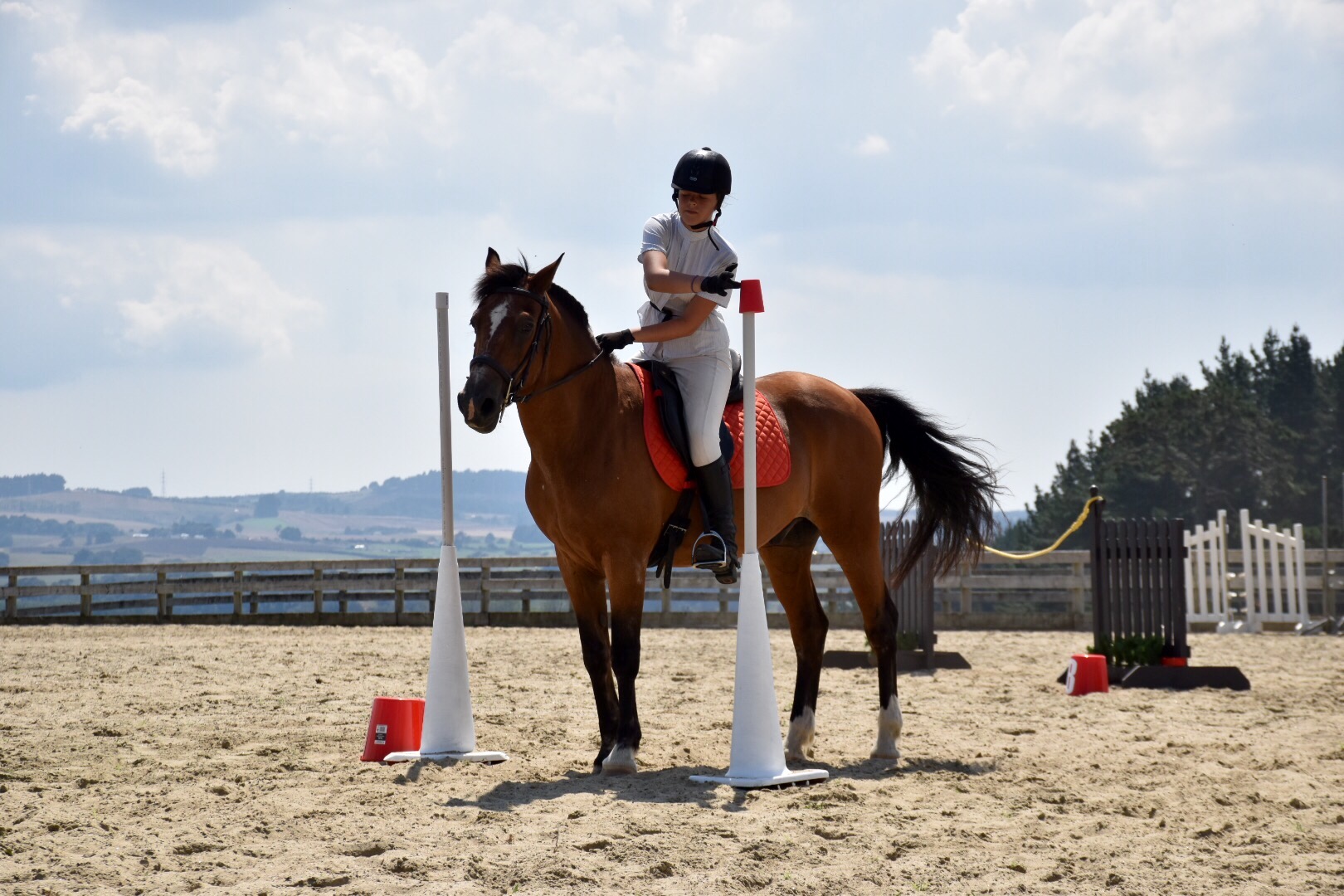 Virtual Working Equitation – Enhancing Working Equitation skills with ...