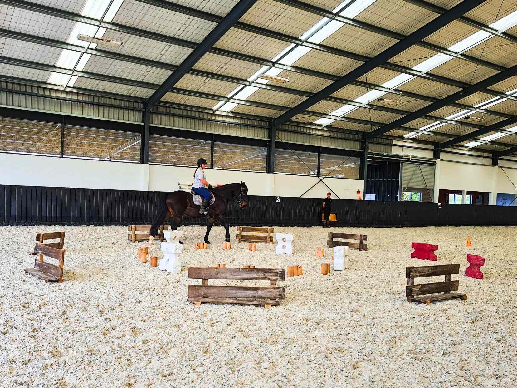 Ease of Handling – Virtual Working Equitation