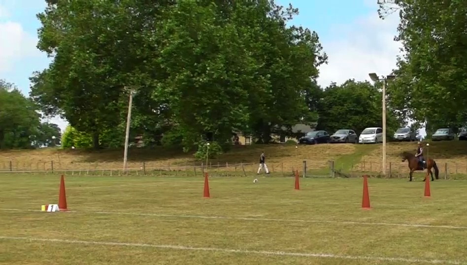 Ease of Handling – Virtual Working Equitation