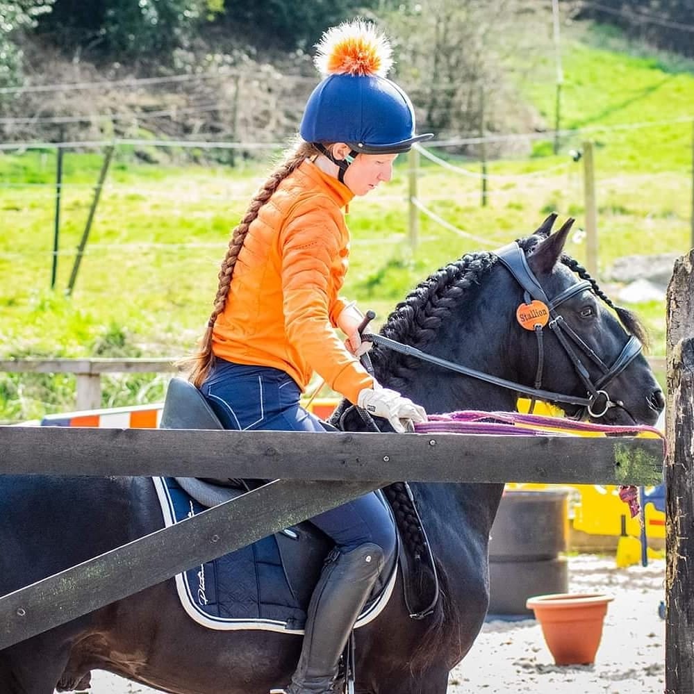 What Is Working Equitation? – Virtual Working Equitation