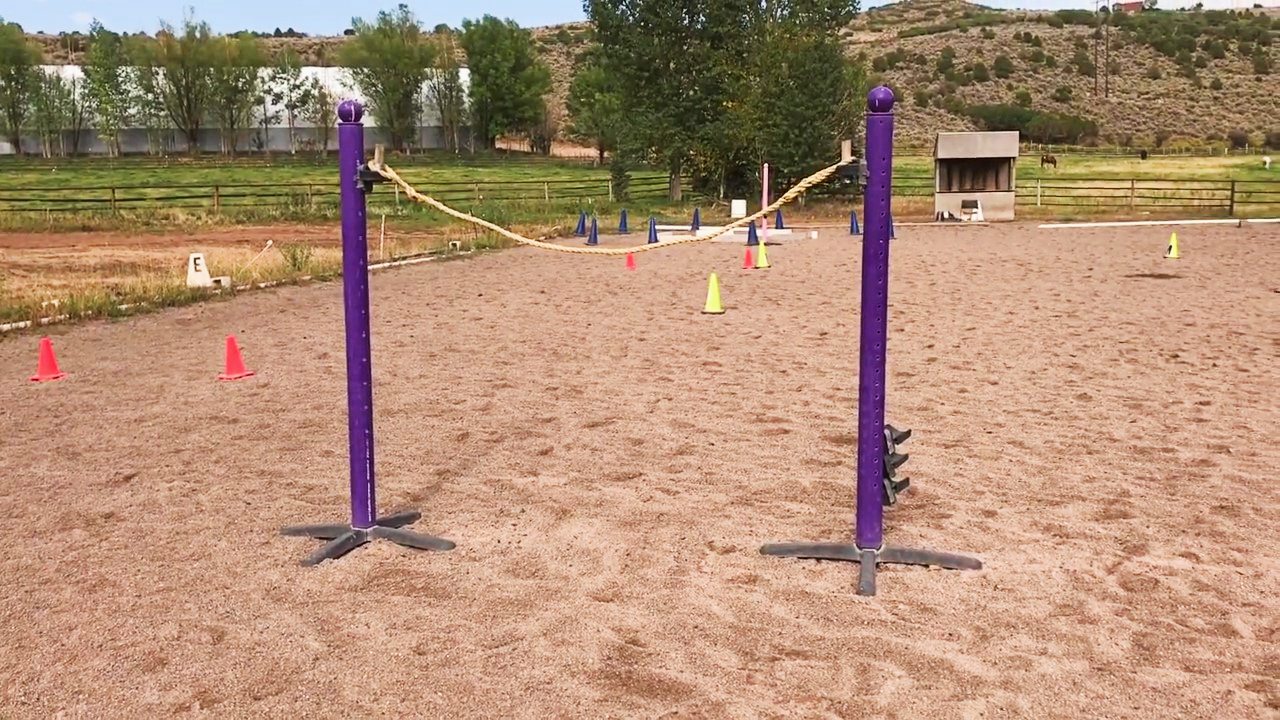 Ease of Handling – Virtual Working Equitation