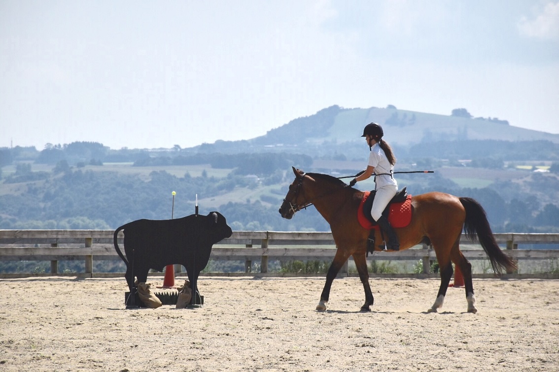 Virtual Working Equitation – Virtual Coaching and Online WORKING ...