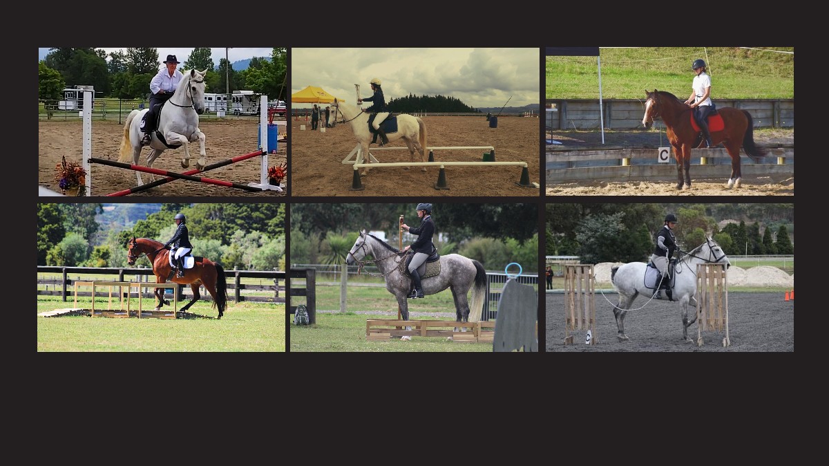 Enter Competition – Virtual Working Equitation